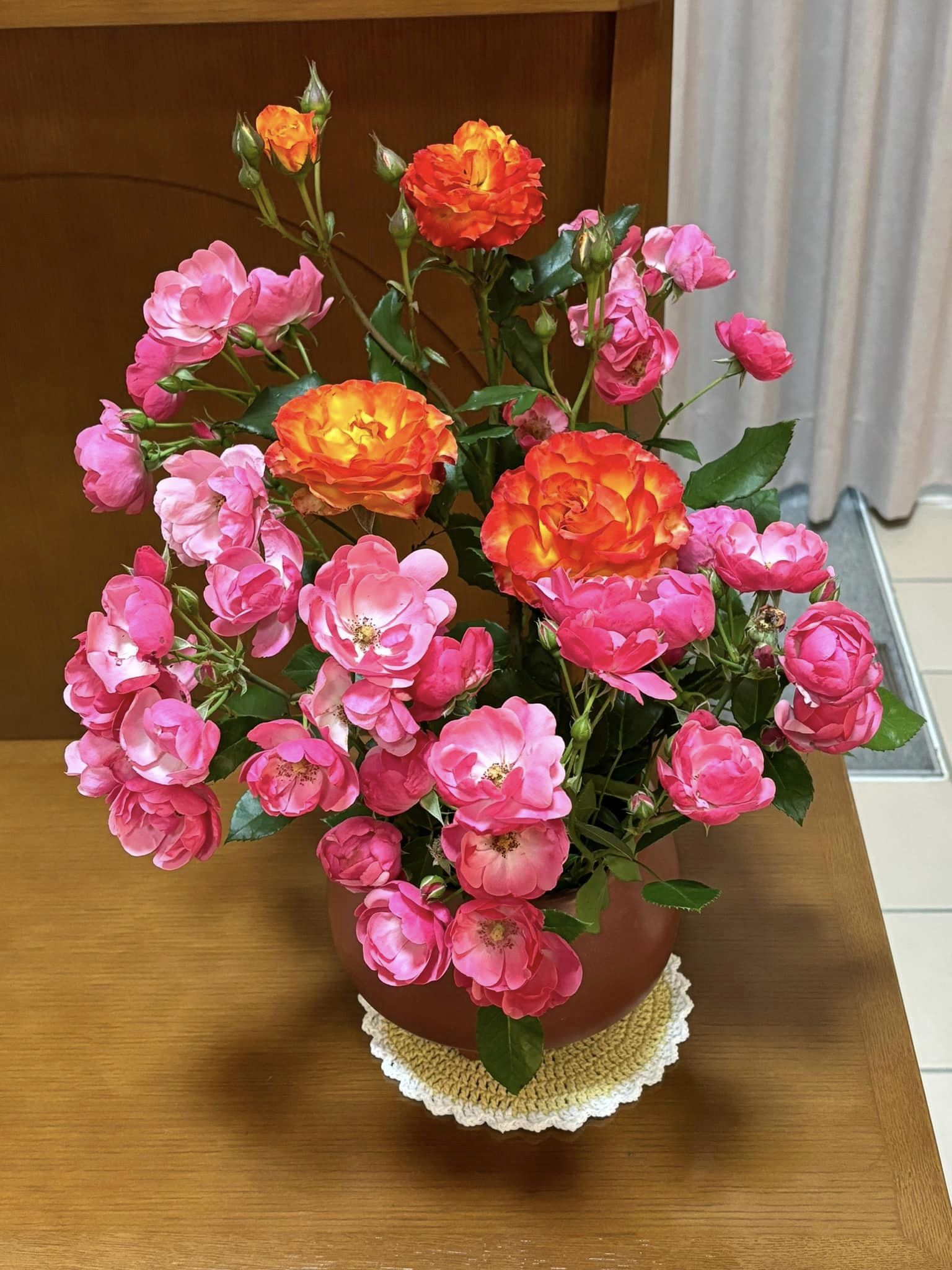 新しい週を迎え__2024.6.9 | 本庄キリスト教会